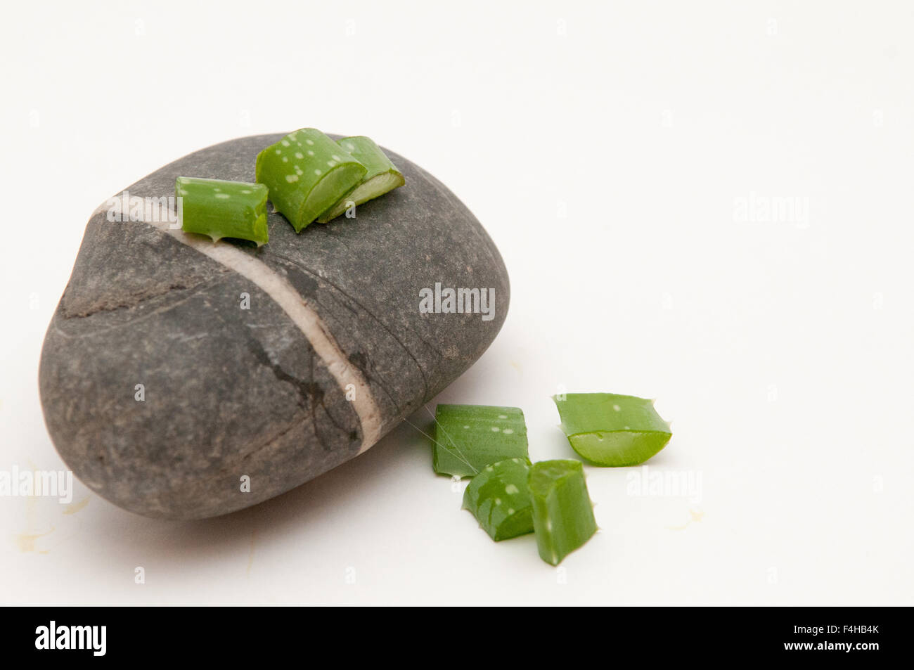 Aloe vera plant sliced on a stone and white background Stock Photo - Alamy