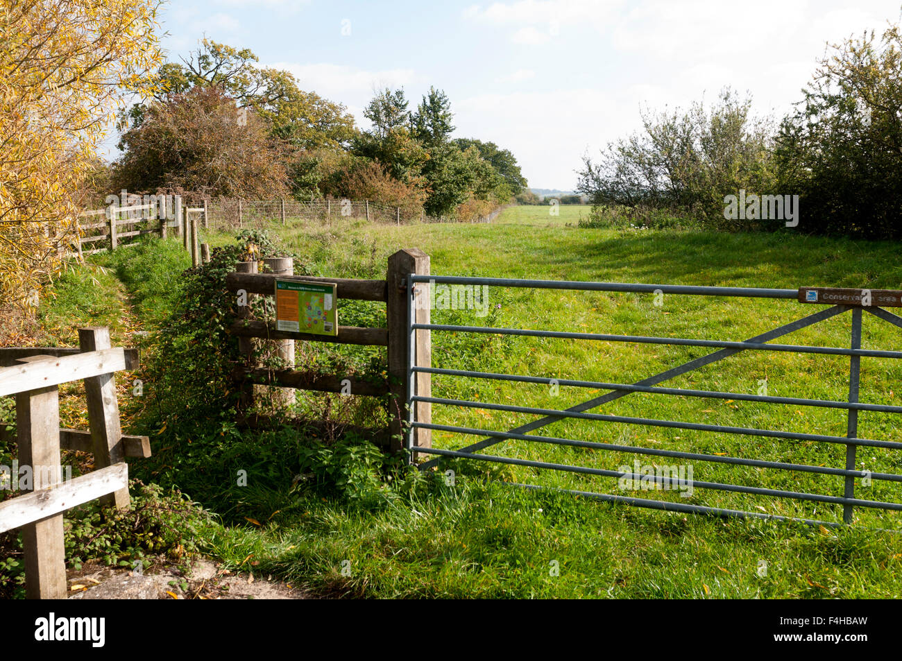 Otmoor nature reserve hi-res stock photography and images - Alamy