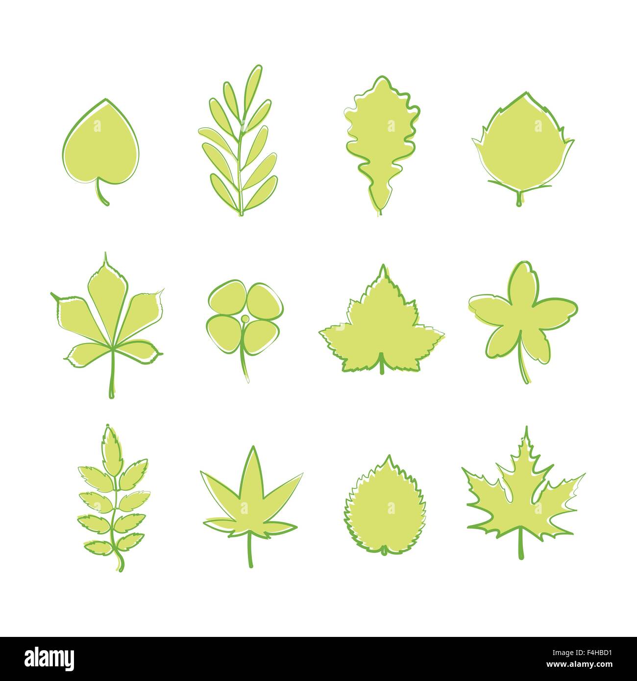 Tree leaf vector hi-res stock photography and images - Alamy