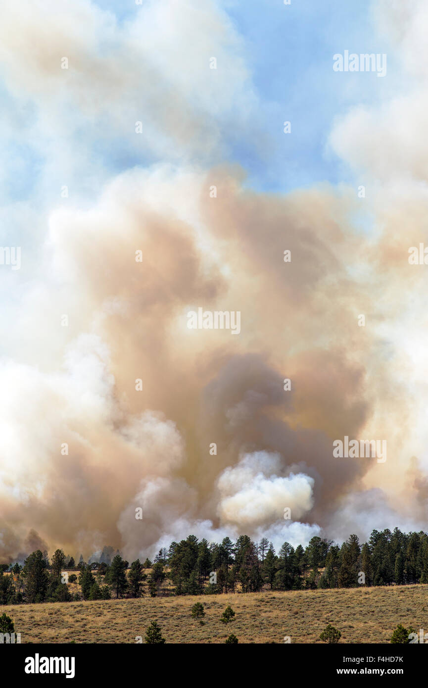 Beautiful controlled fire smoke flame hi-res stock photography and ...