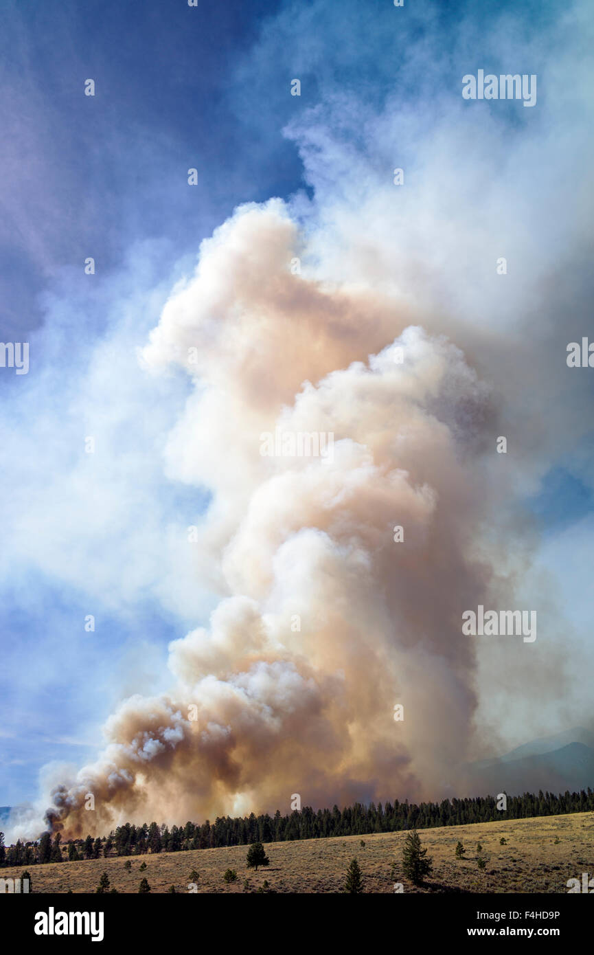 US Forest Service; controlled fire burn near Mt. Shavano; Chaffee ...