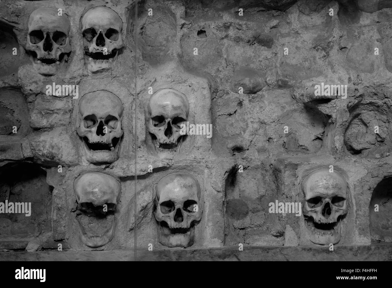 Human skulls hi-res stock photography and images - Alamy