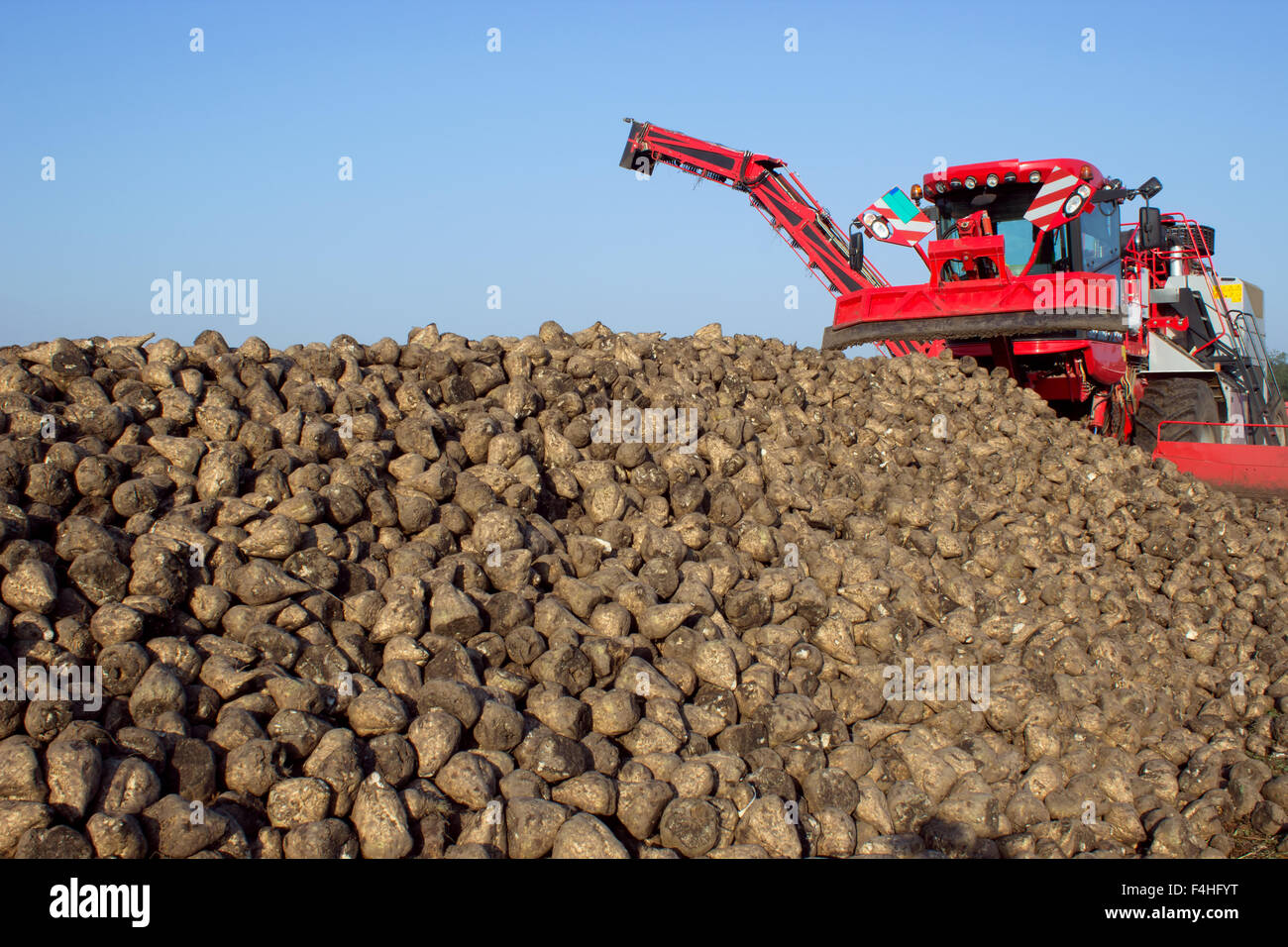 Sugar beet farmer hi-res stock photography and images - Alamy