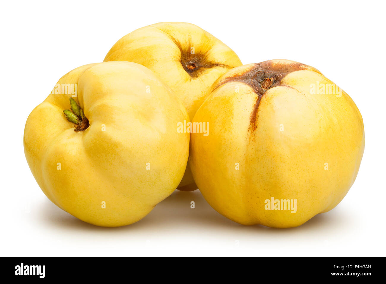 Three juicy quinces hi-res stock photography and images - Alamy