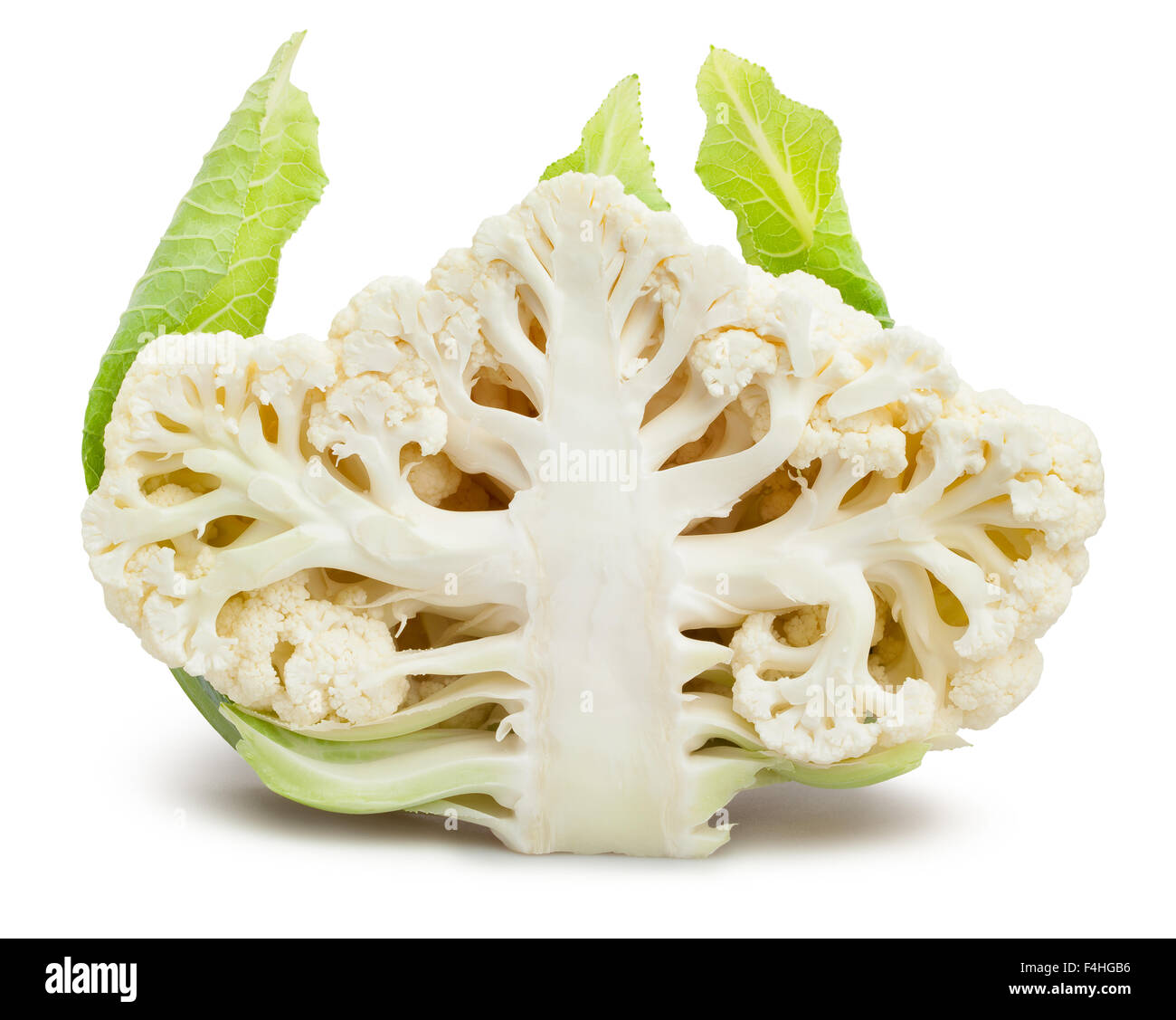 Half cauliflower hi-res stock photography and images - Alamy
