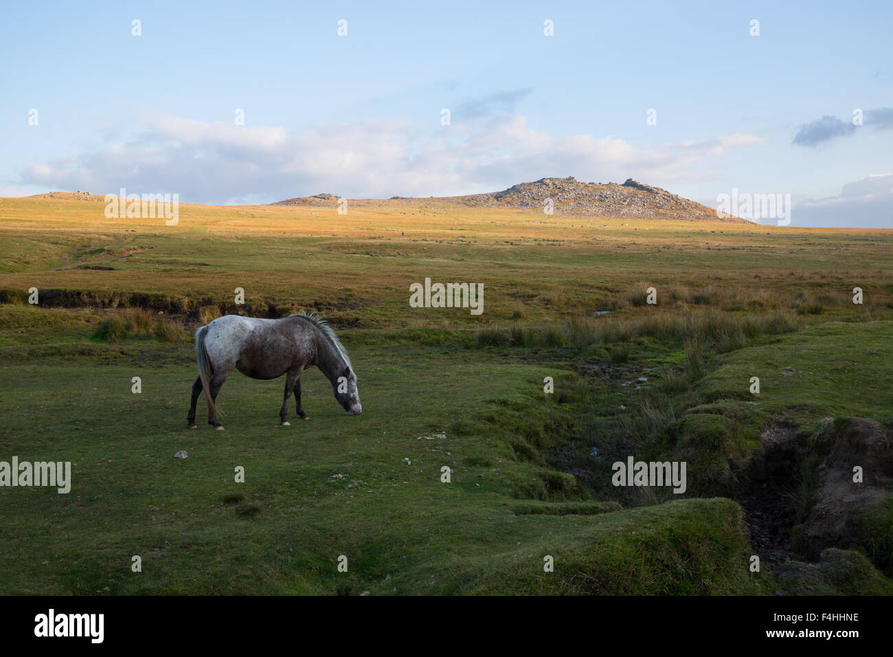 Roughtor moors hi-res stock photography and images - Alamy