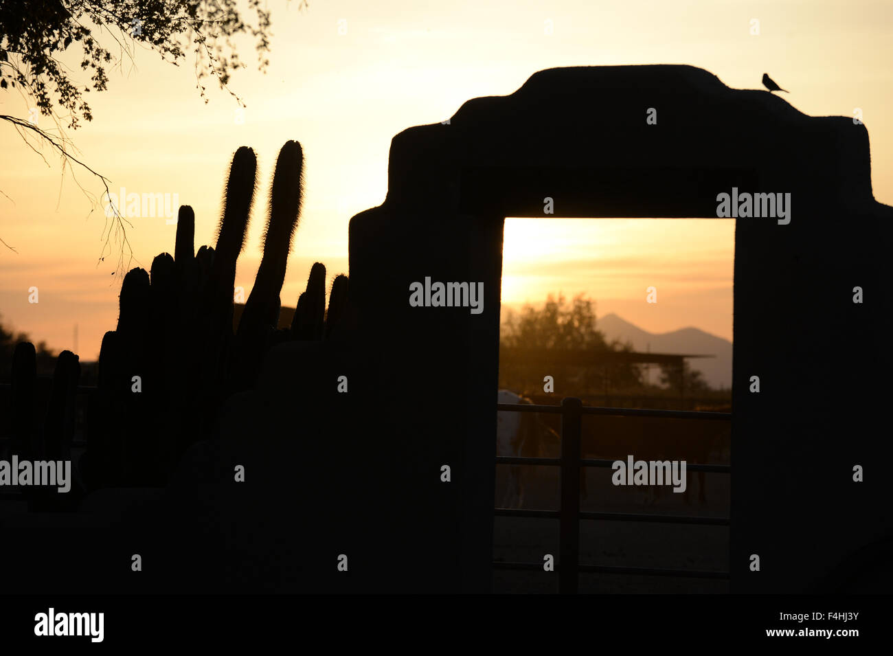 Sunset at the Ranch Stock Photo - Alamy