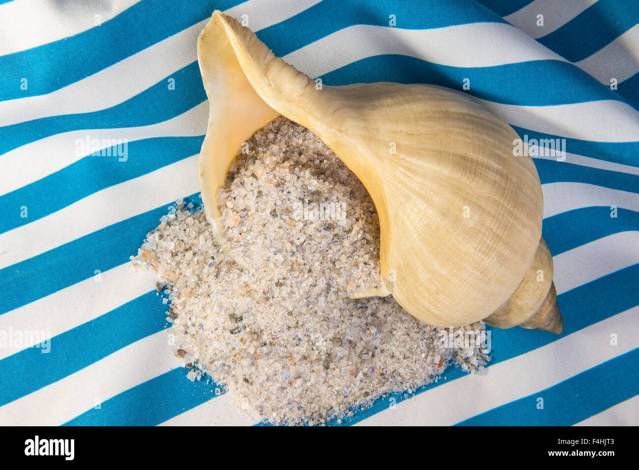 unrefined natural sea salt and spiral clamshell Stock Photo - Alamy