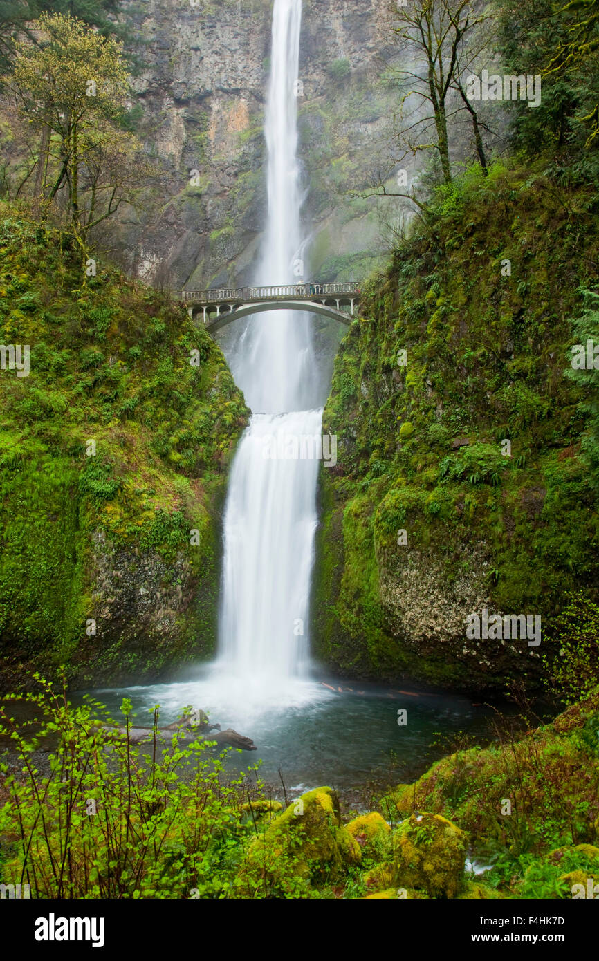 Multnomah falls hi-res stock photography and images - Alamy