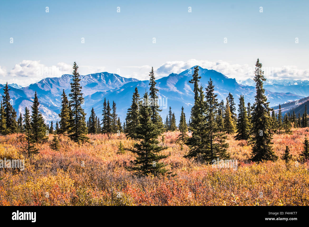 Landscape of mountains off George Parks Highway - Denali Highway in ...