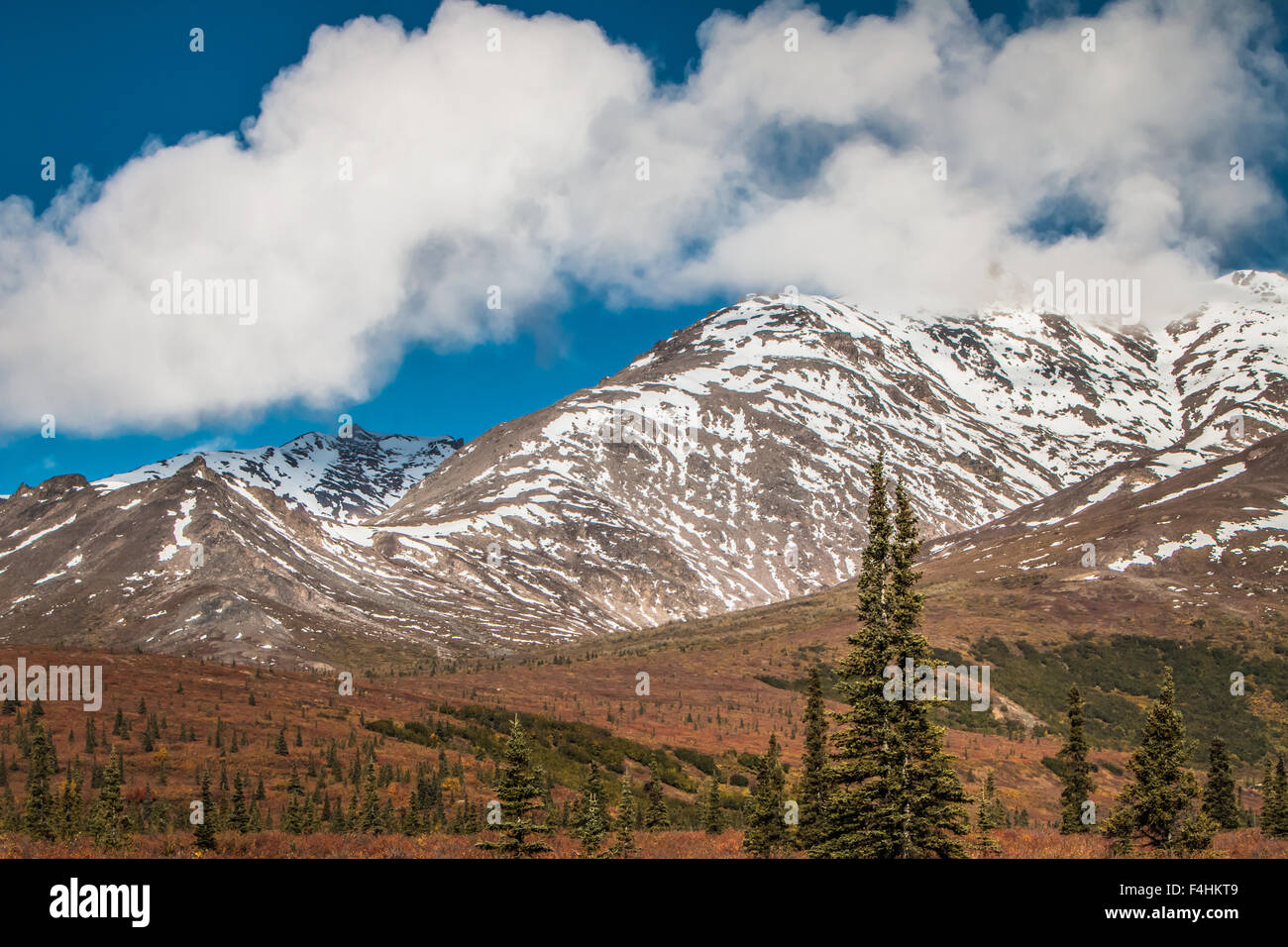 Landscape of snow covered mountains off George Parks Highway - Denali ...