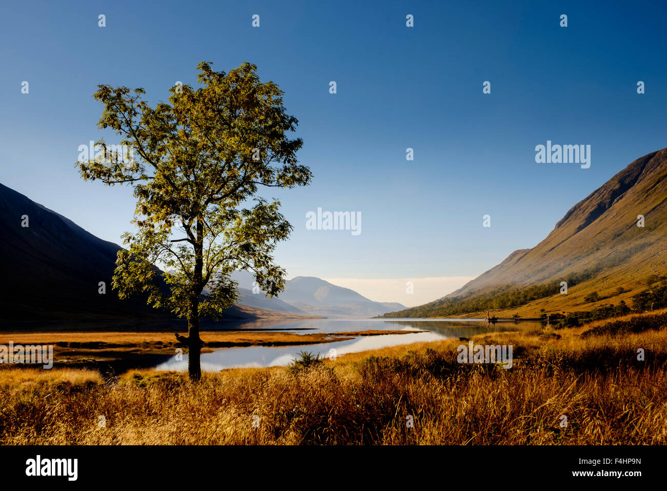 Loch etive hi-res stock photography and images - Alamy