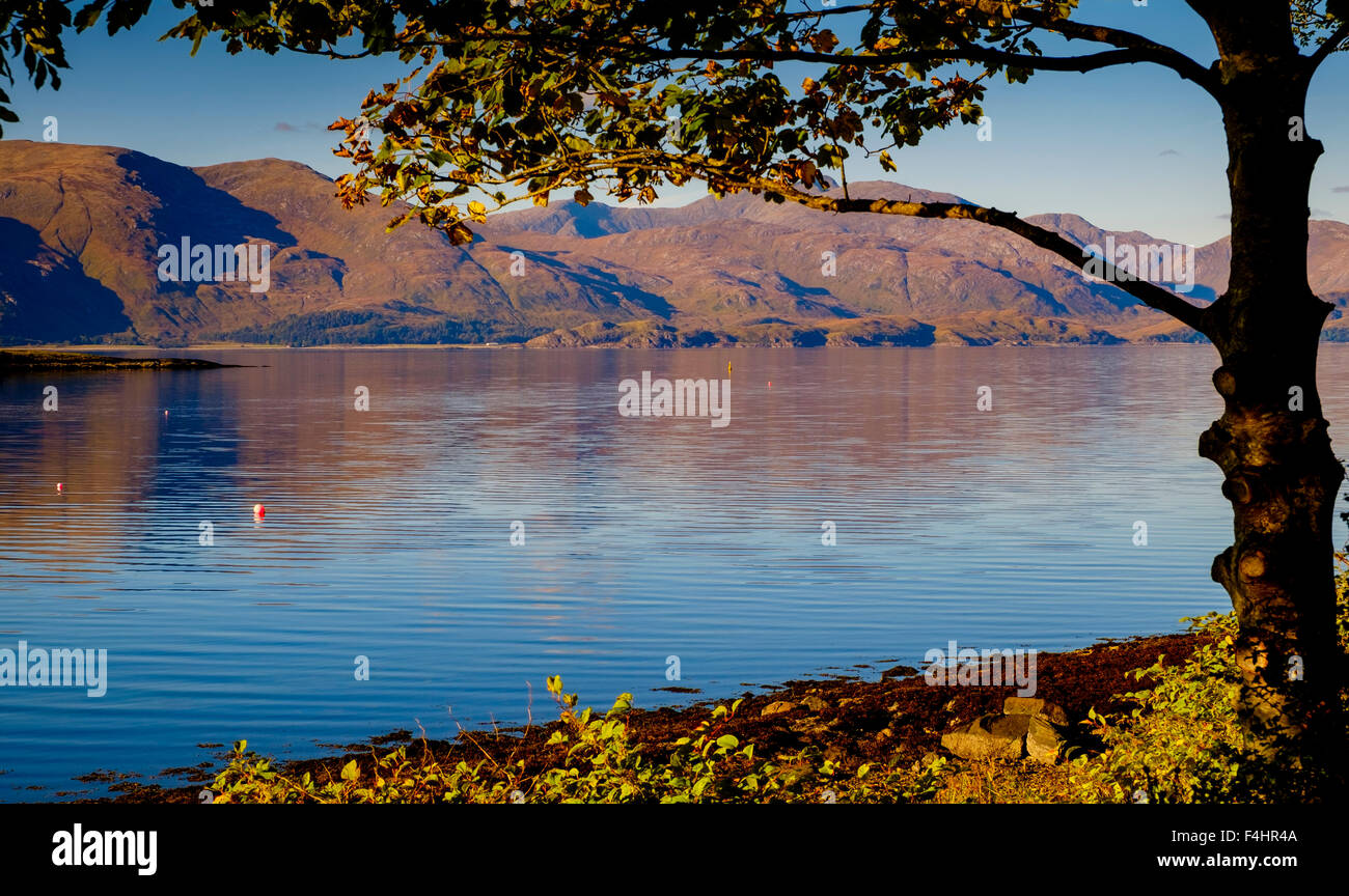 Shuna, scotland hi-res stock photography and images - Alamy