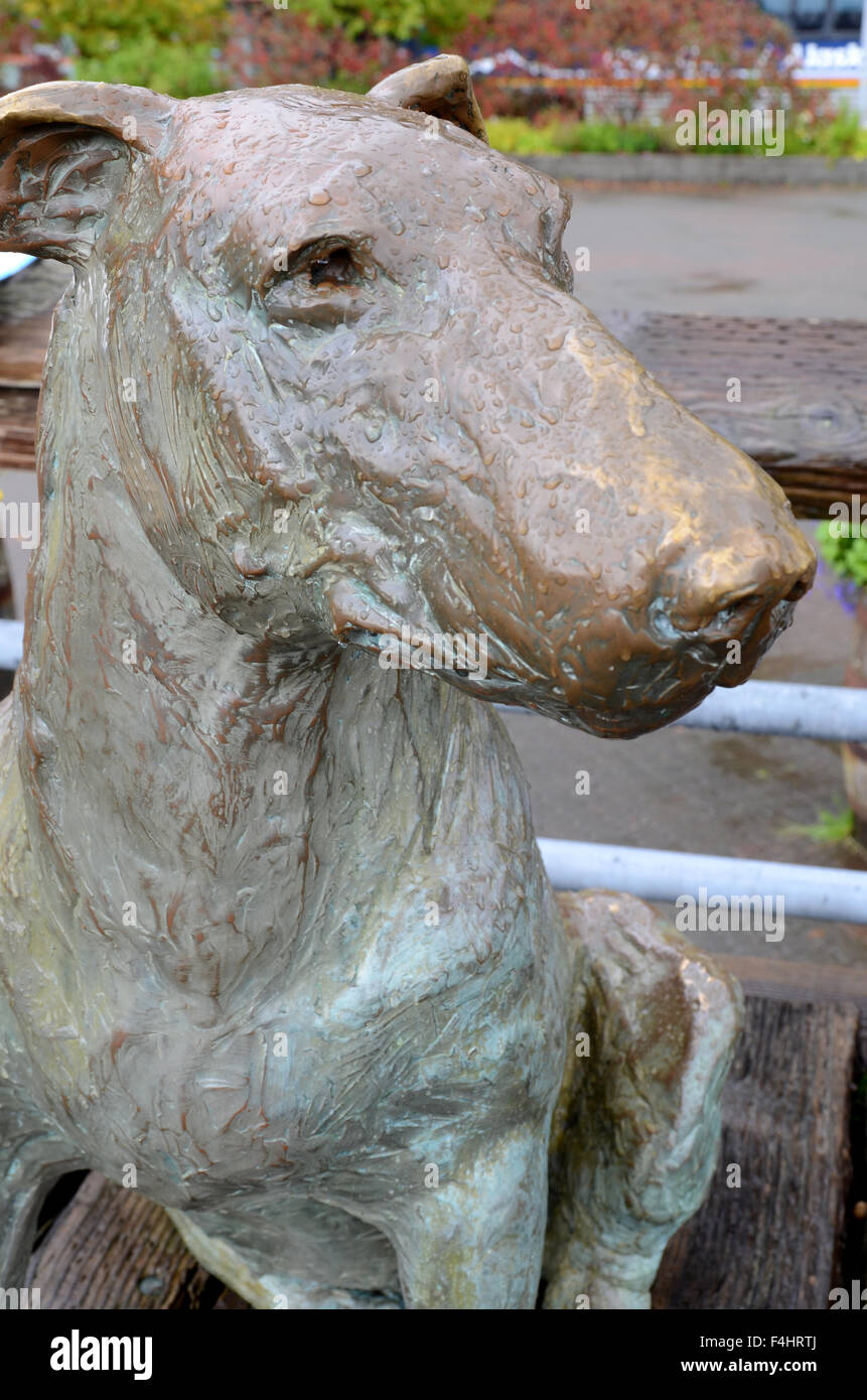 Patsy ann hi-res stock photography and images - Alamy