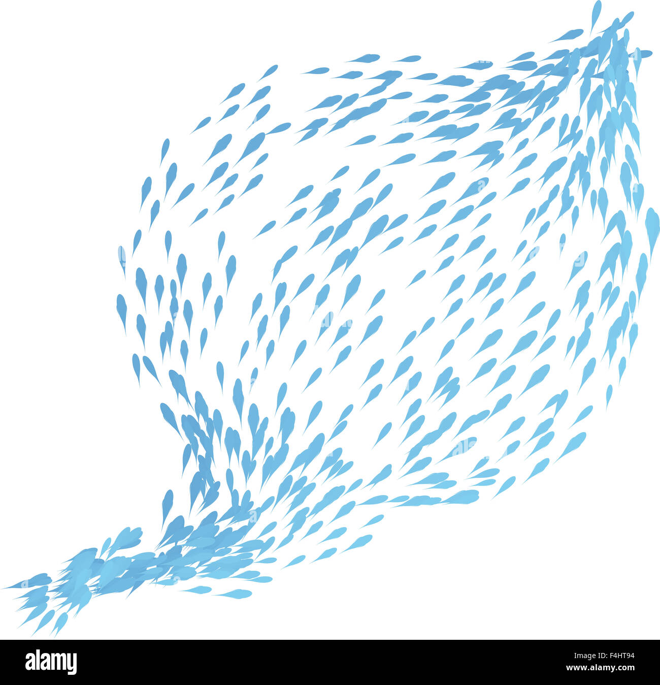 Shoal fish top view hi-res stock photography and images - Alamy