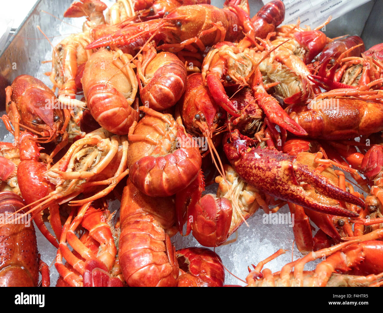 Crawfish river hi-res stock photography and images - Alamy