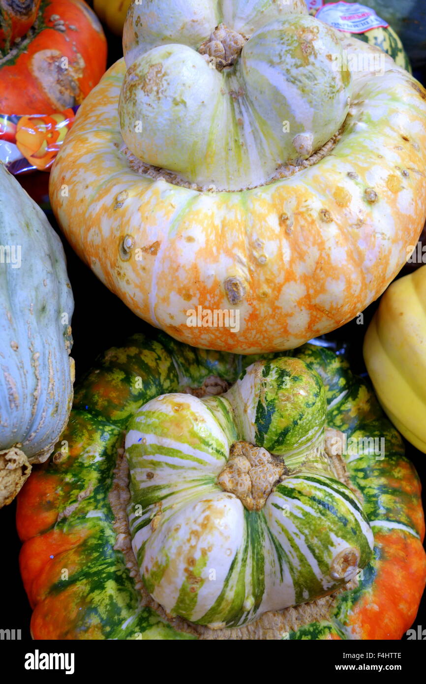 Bumpy gourds hi-res stock photography and images - Alamy