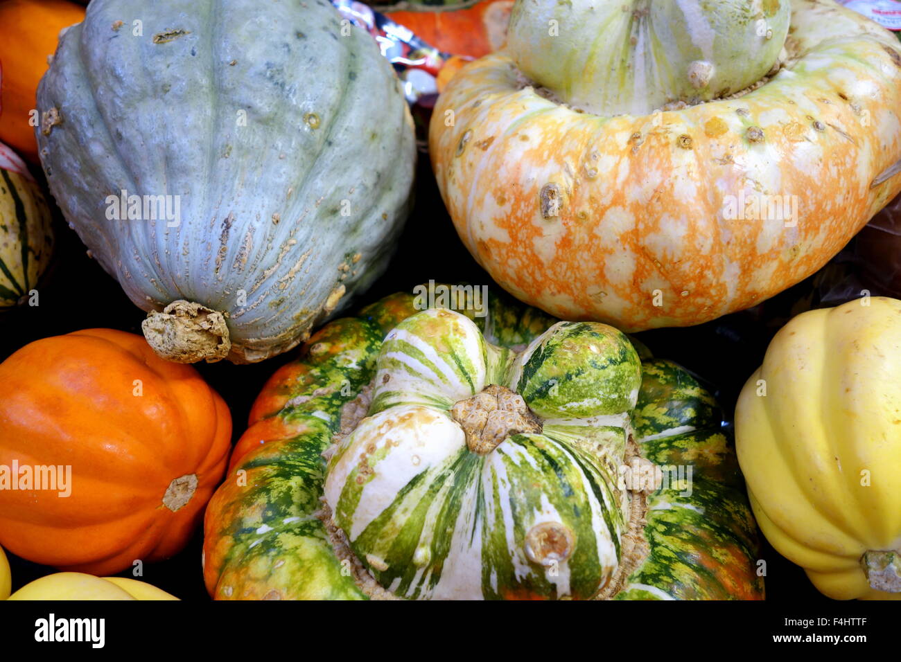 Gourds display hi-res stock photography and images - Alamy