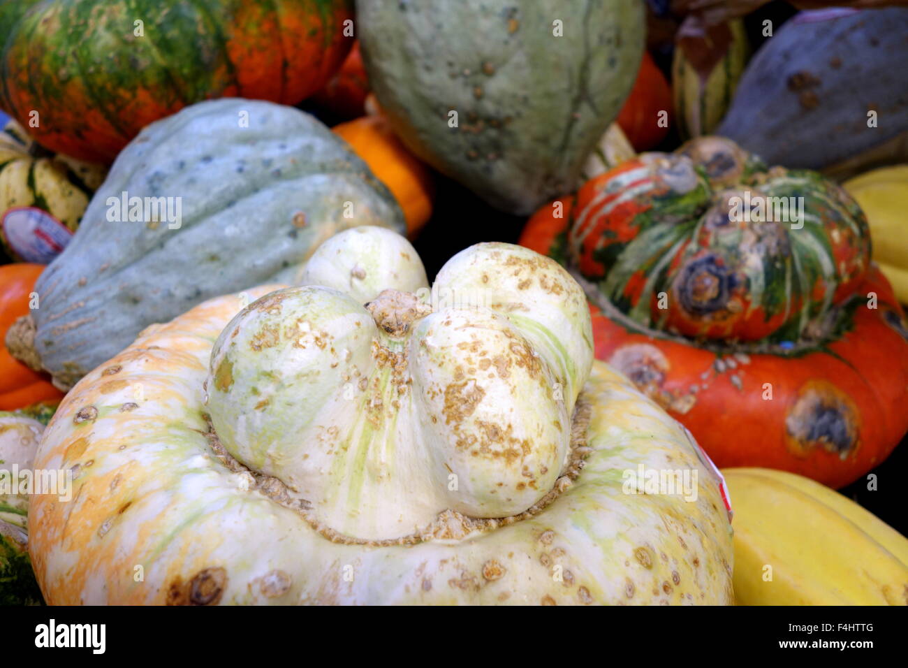 Bumpy gourds hi-res stock photography and images - Alamy