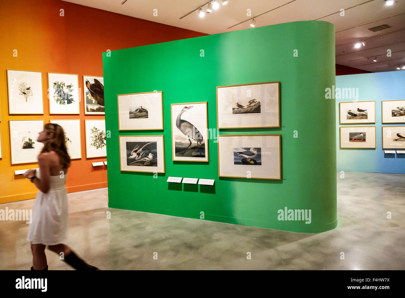 Miami Florida,Miami-Dade Cultural Center,centre,HistoryMiami Museum ...