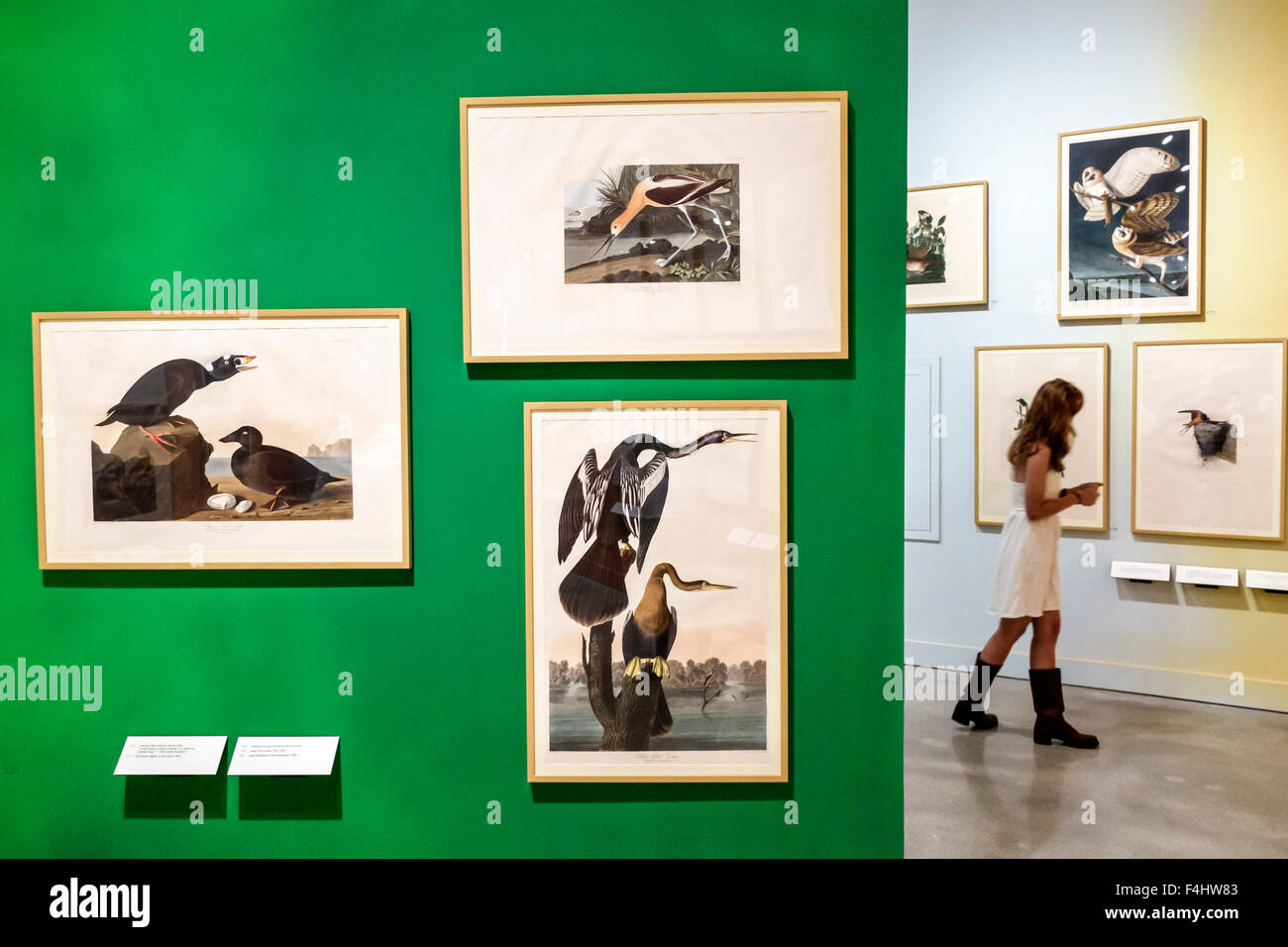 Miami Dade Cultural Center High Resolution Stock Photography and Images ...