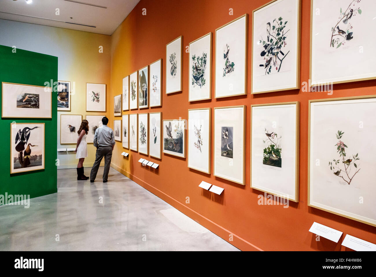 Miami Florida,Miami-Dade Cultural Center,centre,HistoryMiami Museum ...