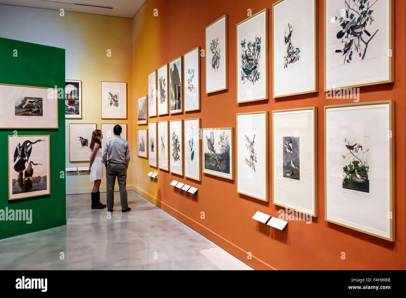 Miami Florida,Miami-Dade Cultural Center,centre,HistoryMiami Museum ...