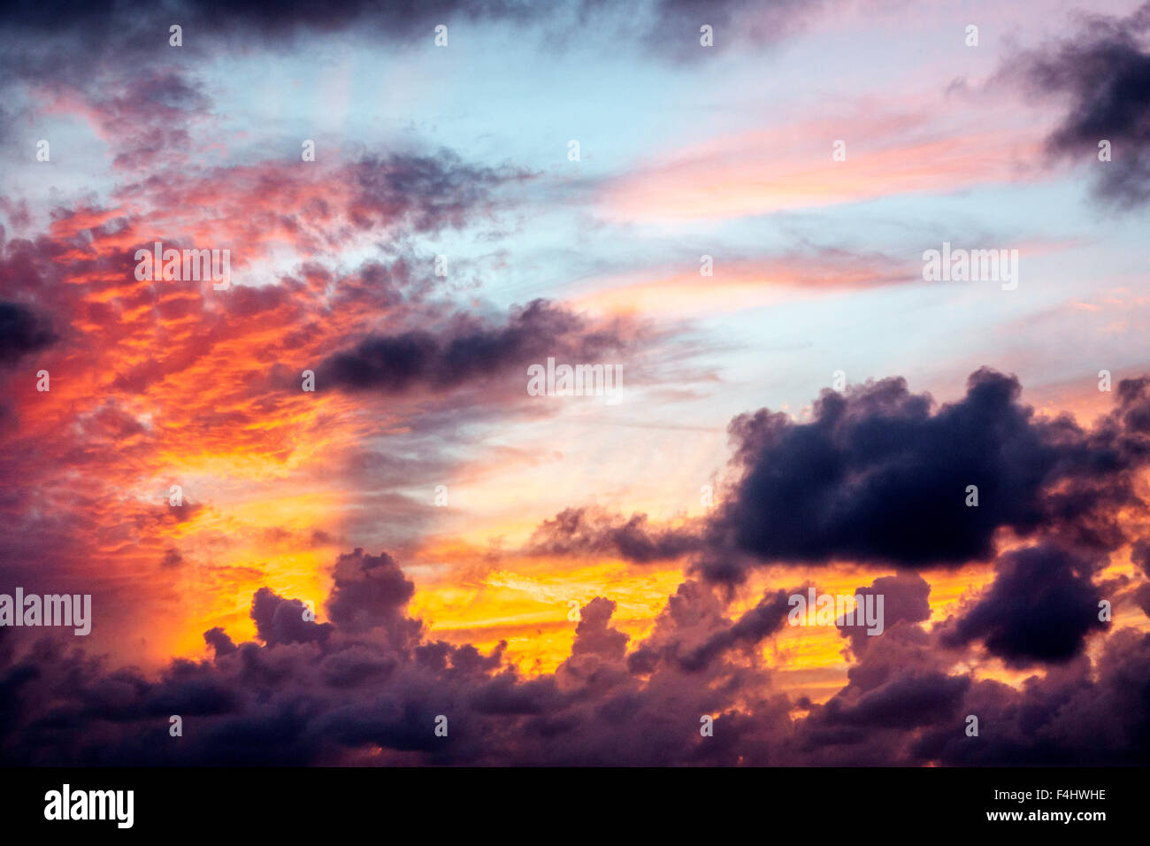 Florida sunset sky hi-res stock photography and images - Alamy