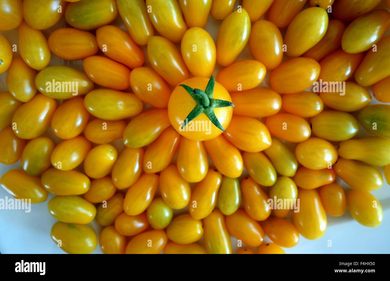 Colorful tomatoes in various shapes and sizes Stock Photo - Alamy