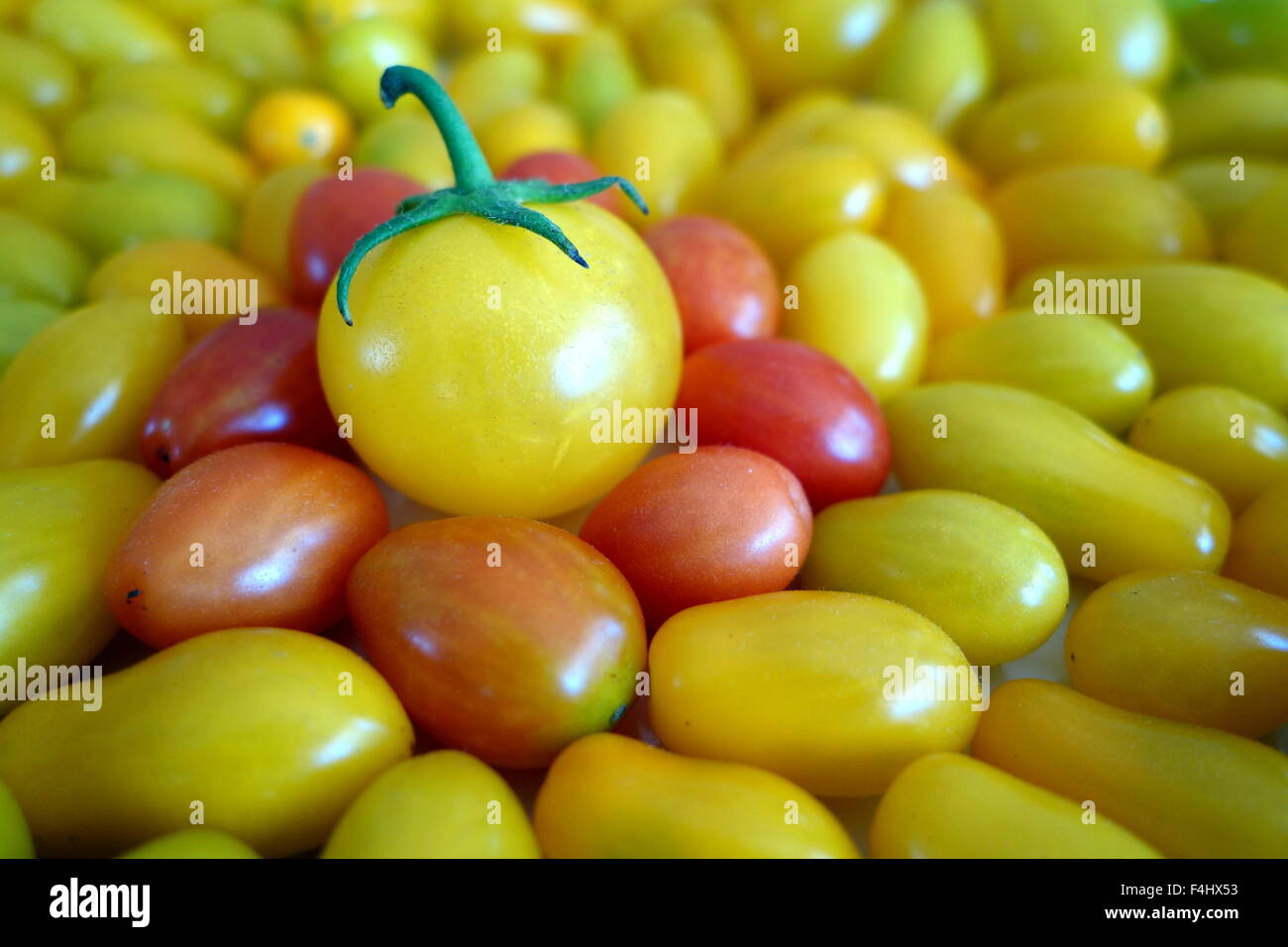 Colorful tomatoes in various shapes and sizes Stock Photo - Alamy