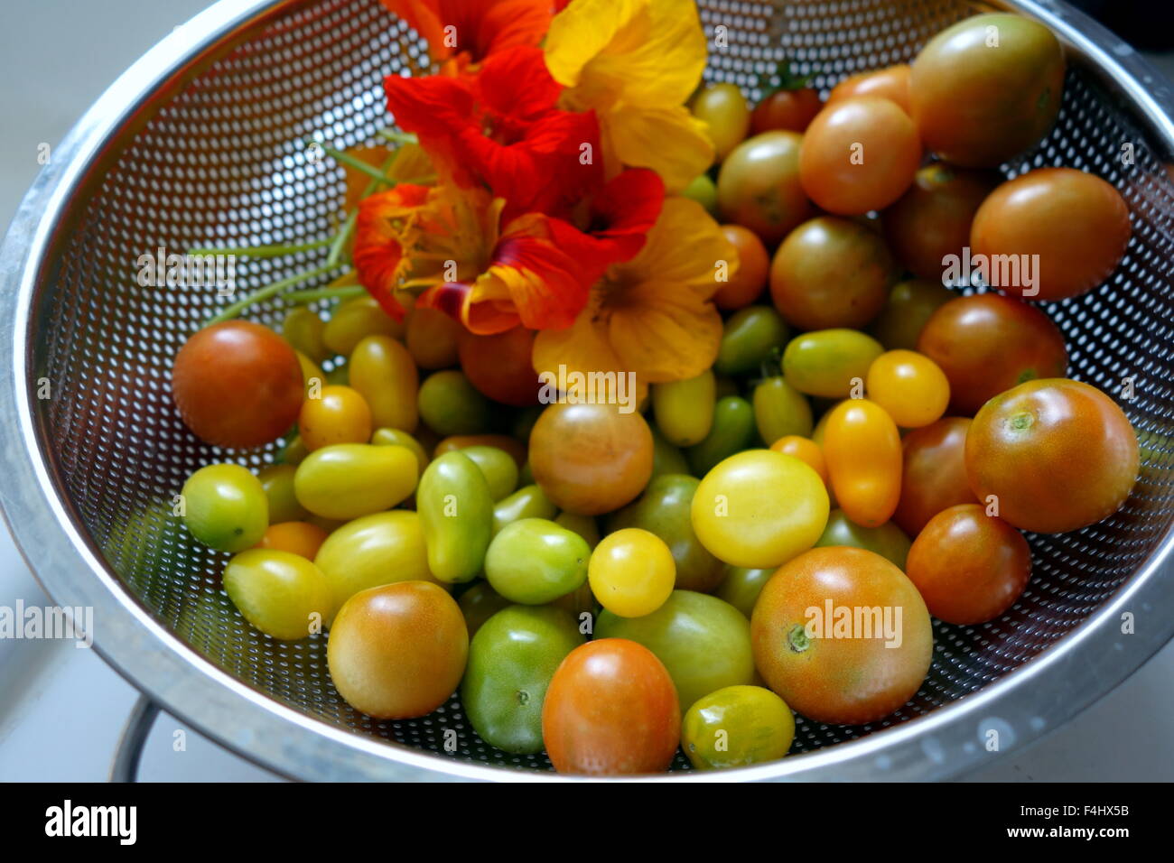 Colorful tomatoes in various shapes and sizes Stock Photo - Alamy