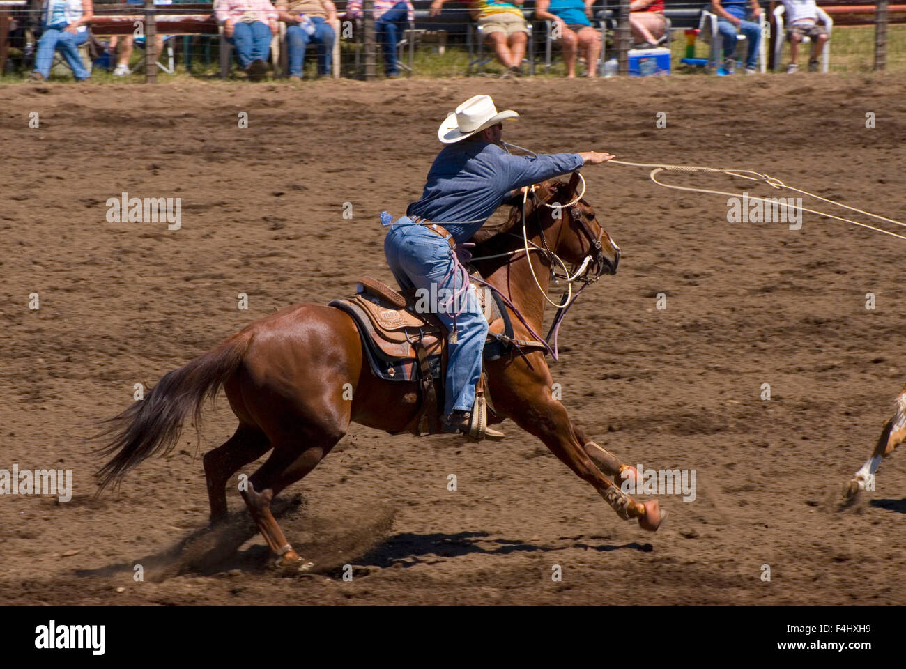 Ketch-um Kalf Rodeo, Glenwood, Washington Stock Photo - Alamy