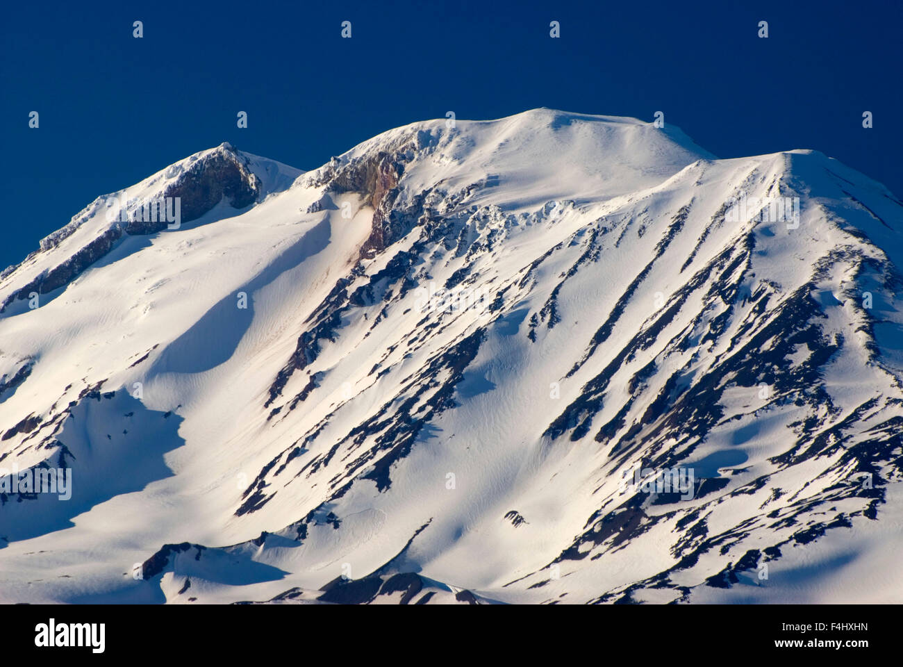 Mt Adams view, Trout Lake Natural Area Preserve, Trout Lake, Washington ...
