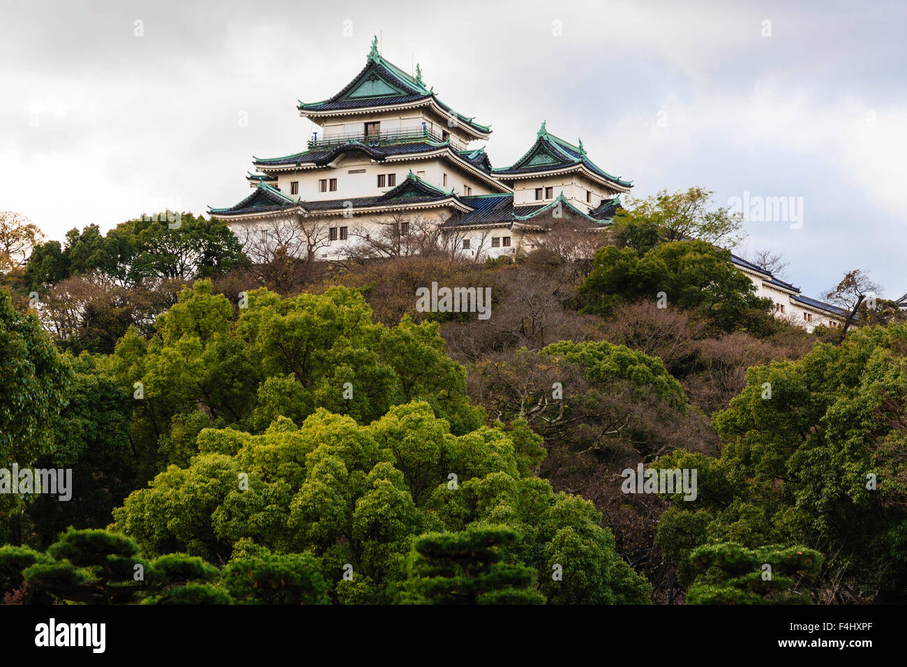 Japan, Wakayama castle. Tree covered hill with the main borogata style ...