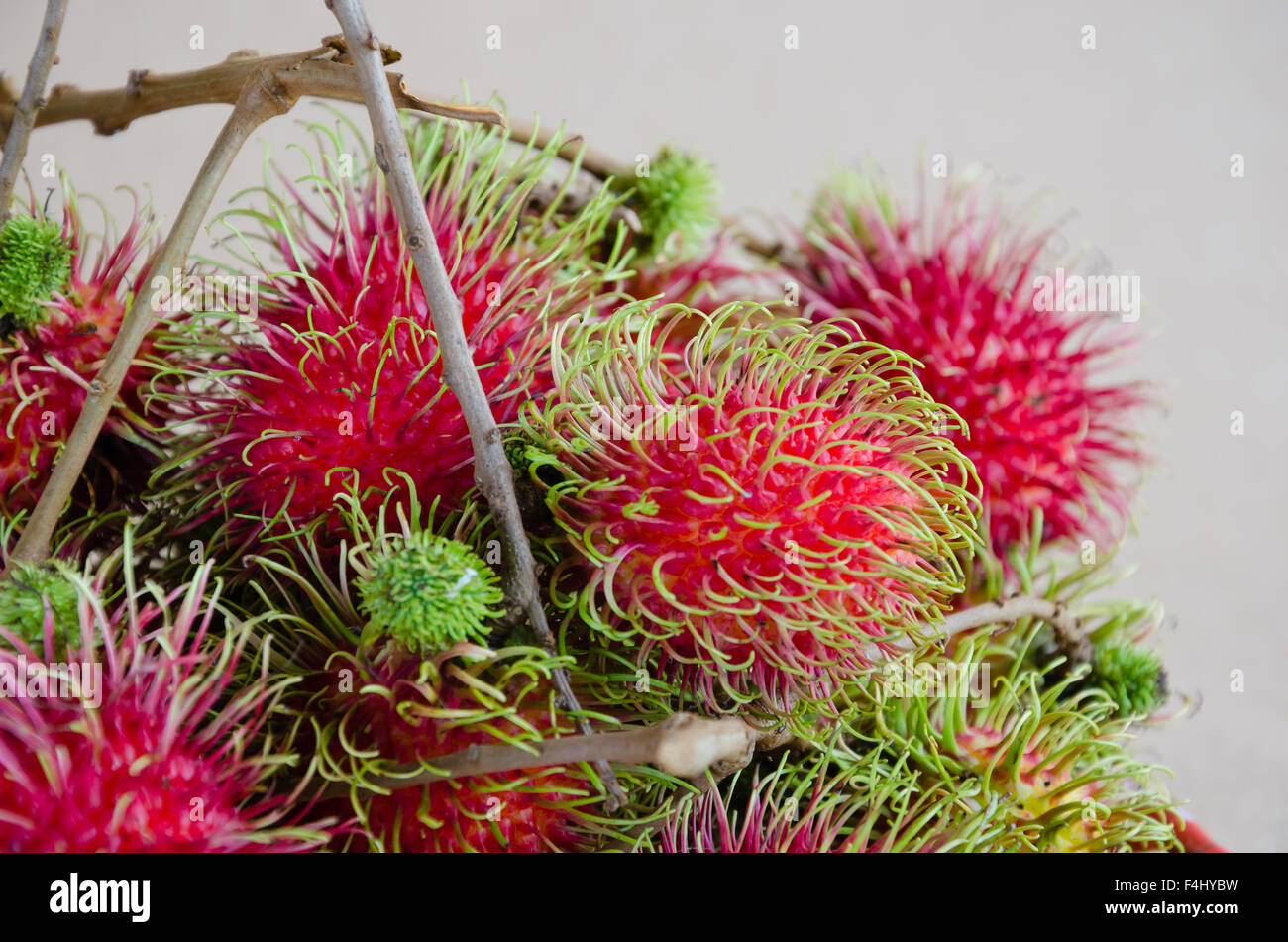 Fresh Rambutan A Tropical Fruit Stock Photo - Alamy