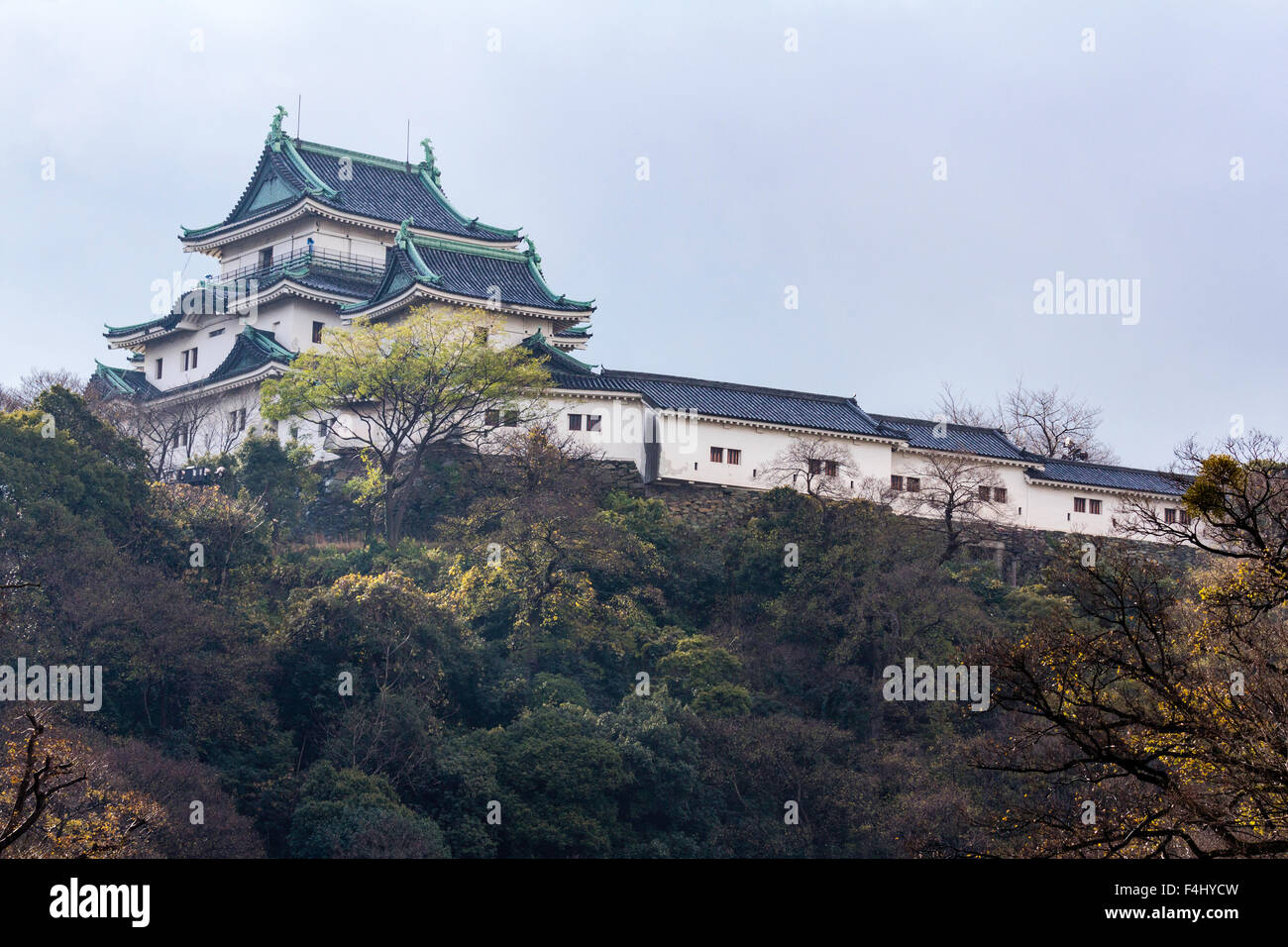Japan, Wakayama castle. Distant shot of the hilltop keep, tenshu, and ...