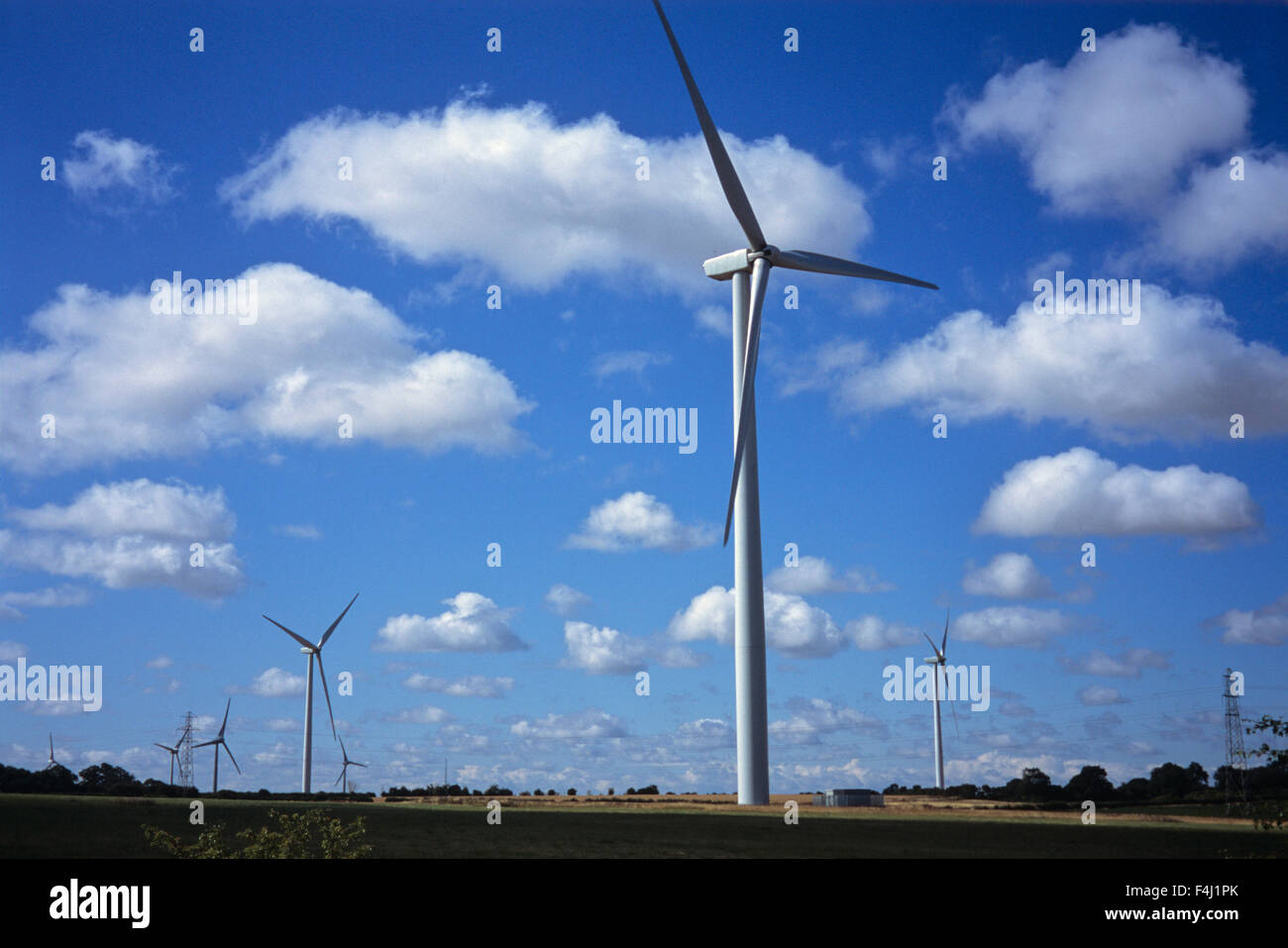 Sustainable thinking hi-res stock photography and images - Alamy