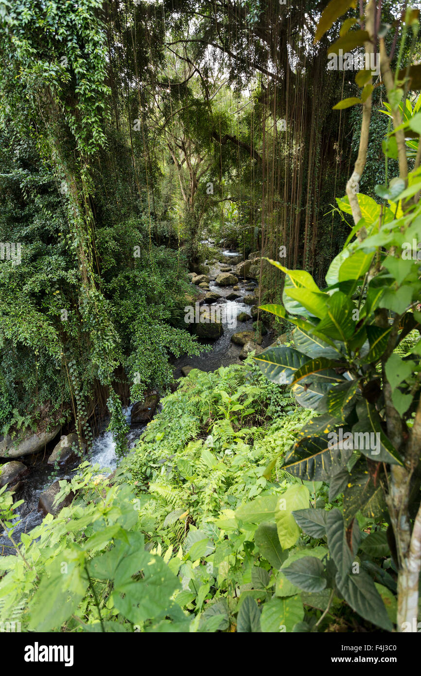 Pakerisan River. Tropical river landscape flows past the sacred temple ...