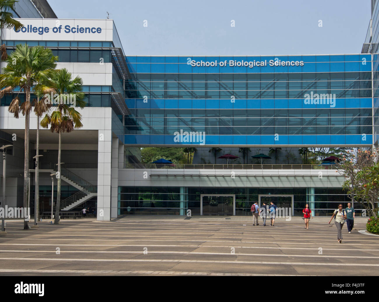 Students at the campus of Nanyang Technical University (NTU) in ...