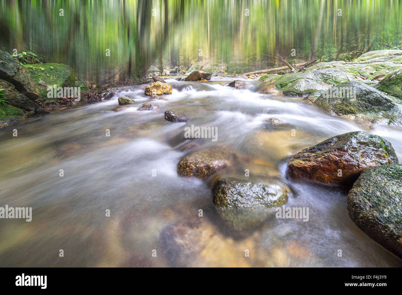 Natural flow of water stream at tropical forest Stock Photo - Alamy