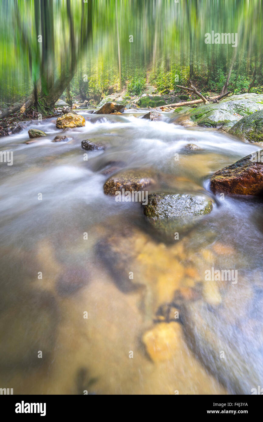 Natural flow of water stream at tropical forest Stock Photo - Alamy