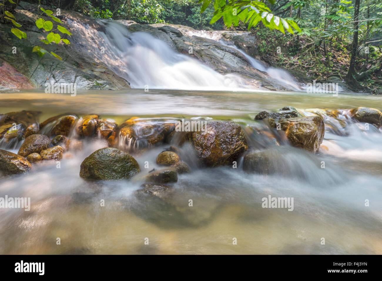 Water stream with waterfall background at tropical forest Stock Photo ...