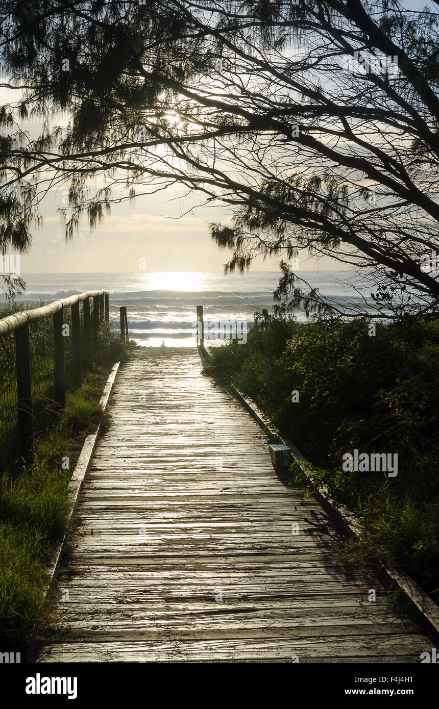 Timber boardwalk hi-res stock photography and images - Alamy