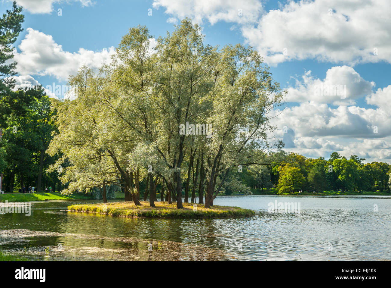 Beautiful russian landscape with willows Stock Photo - Alamy