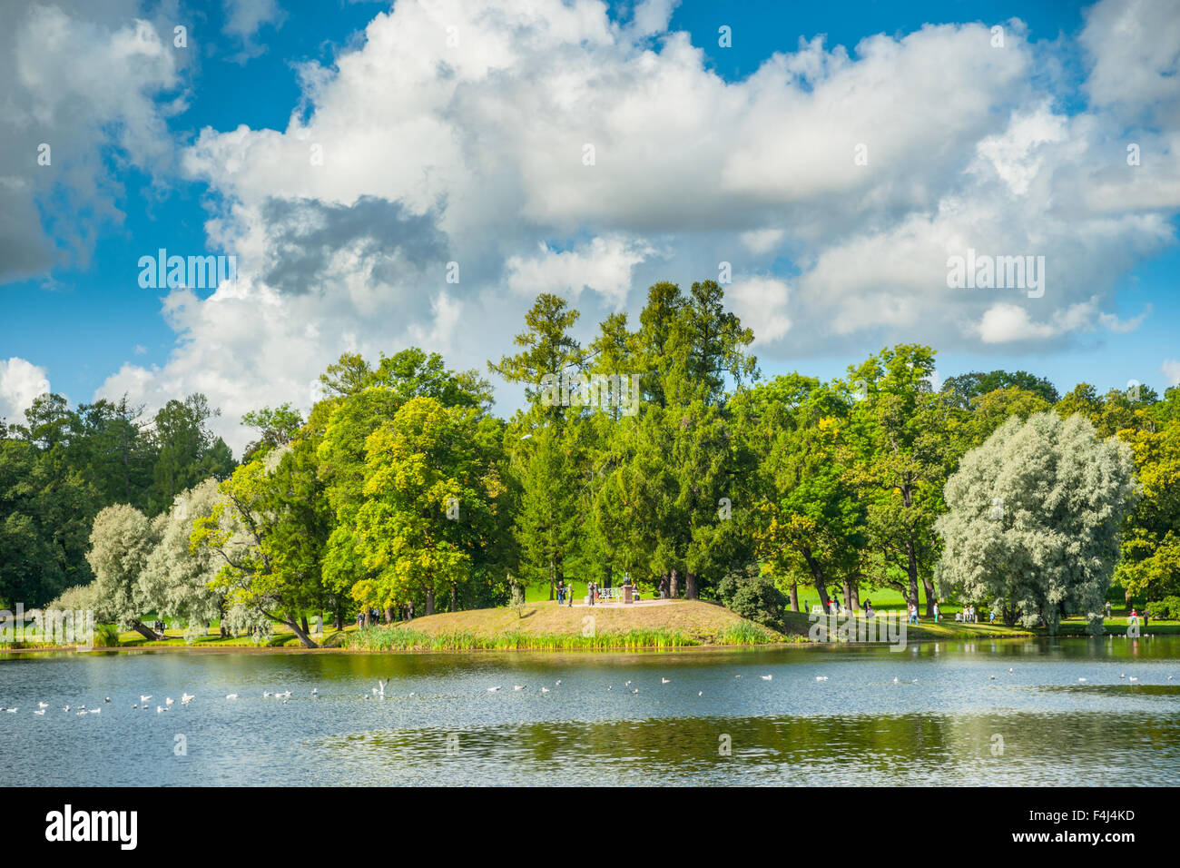 Beautiful russian landscape with willows Stock Photo - Alamy