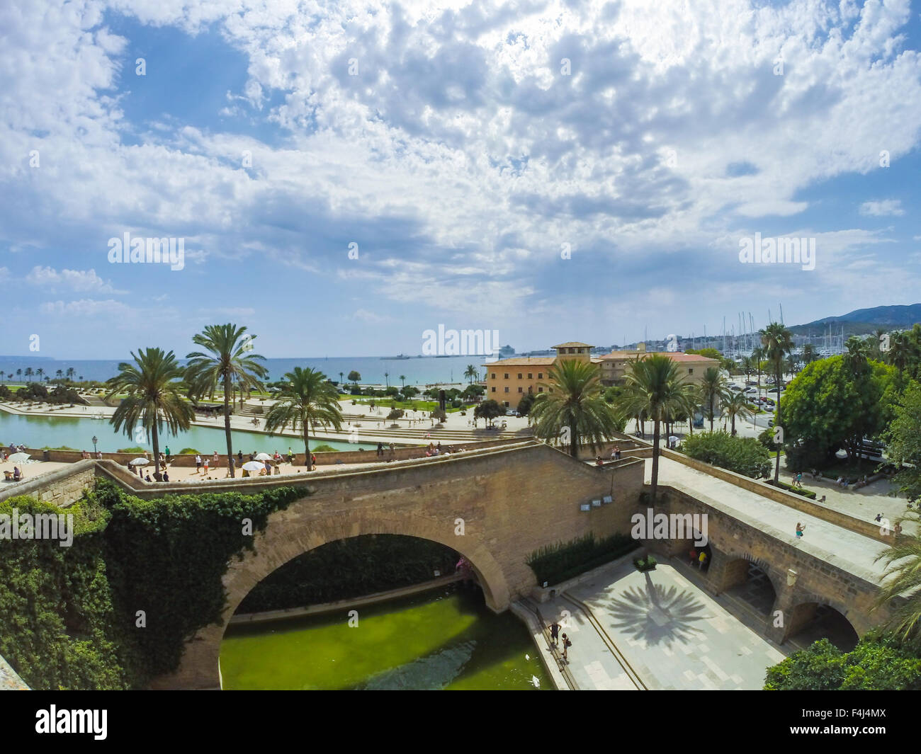 Playa de plama hi-res stock photography and images - Alamy