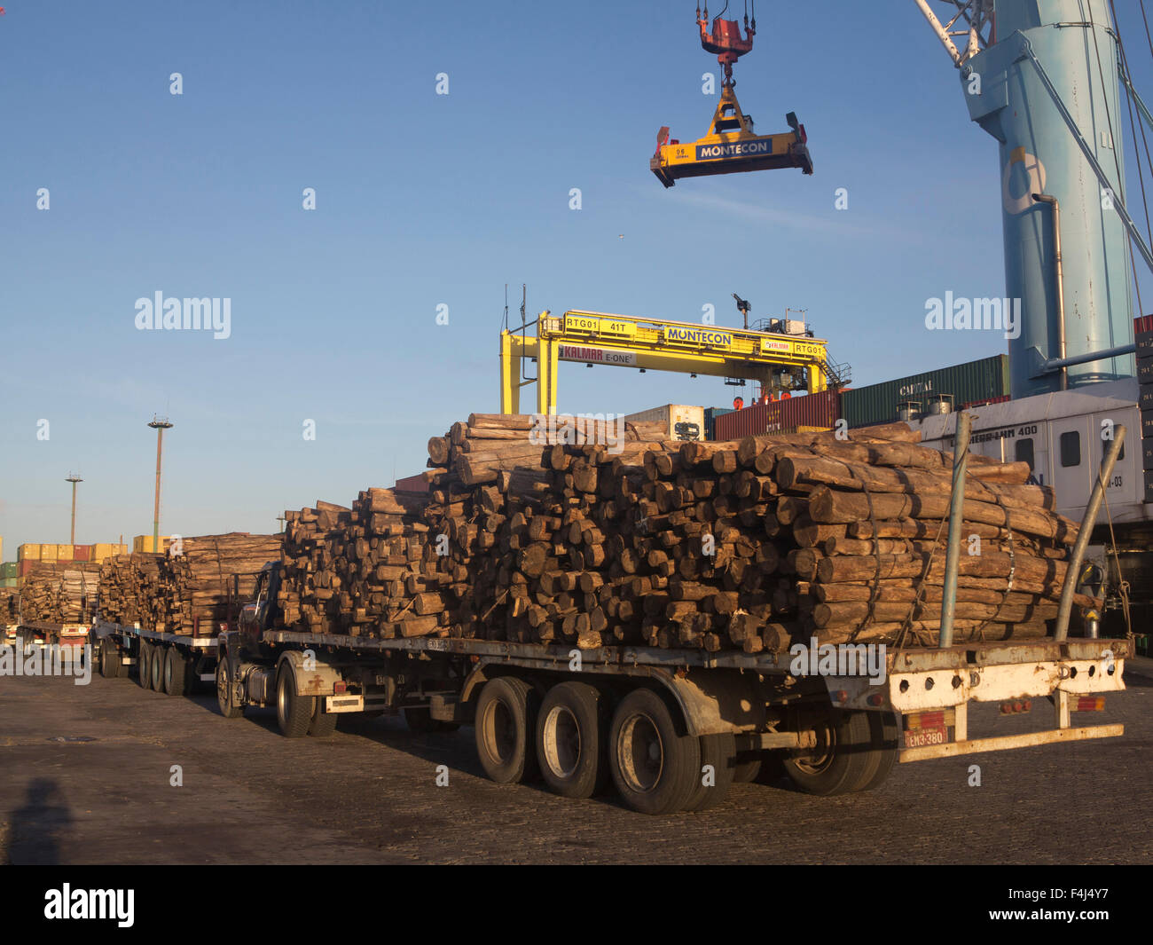 Timber loaded for export at the harbour in Montevideo, Uruguay, South ...