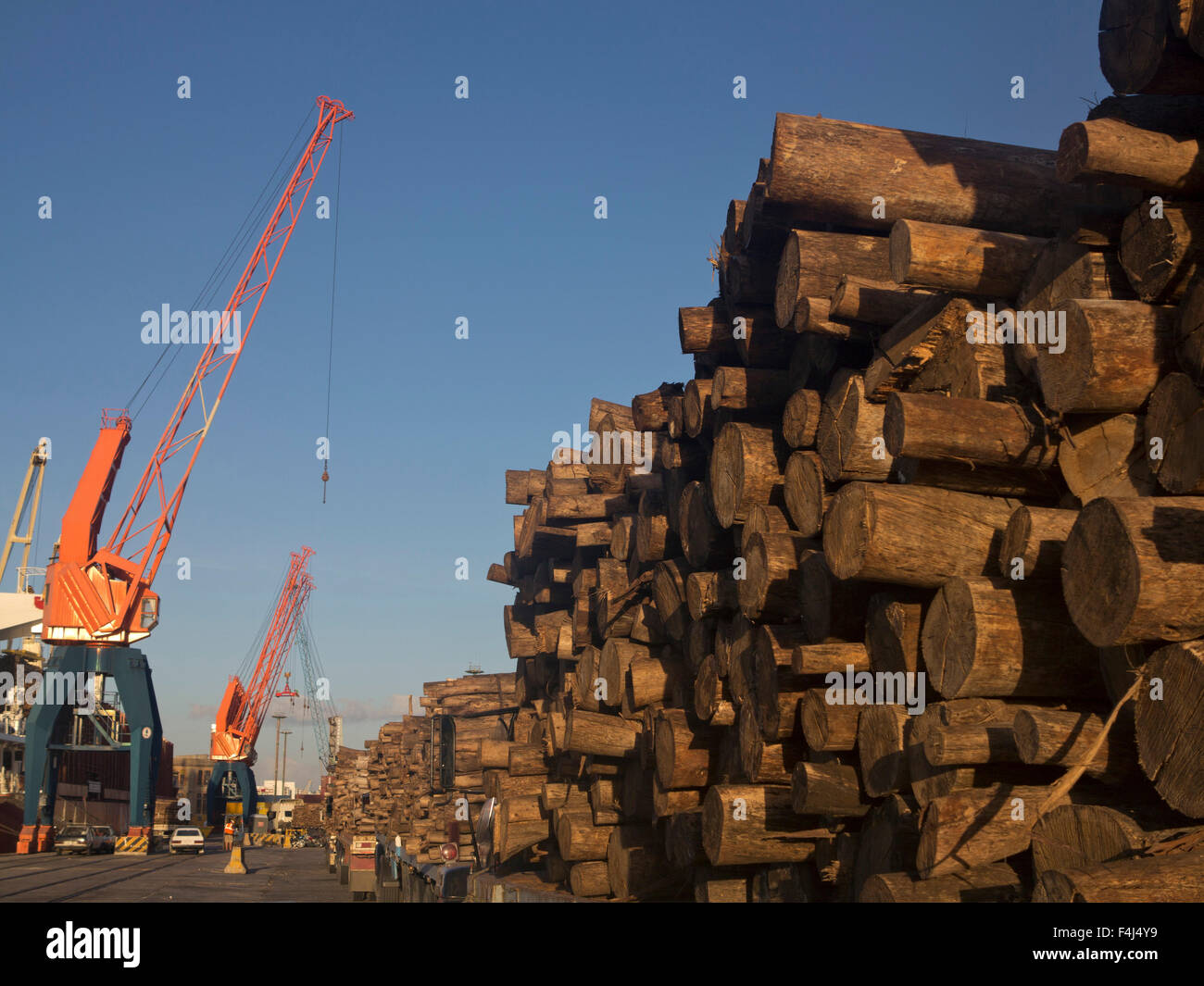 Timber loaded for export at the harbour in Montevideo, Uruguay, South ...