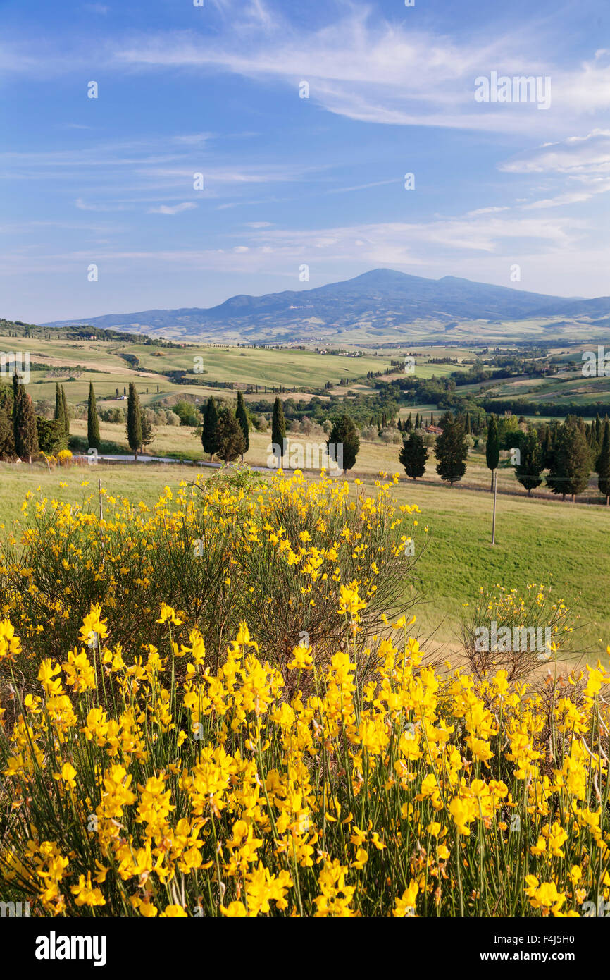 Tuscan landscape with Monte Amiata, near Pienza, Val d'Orcia (Orcia ...