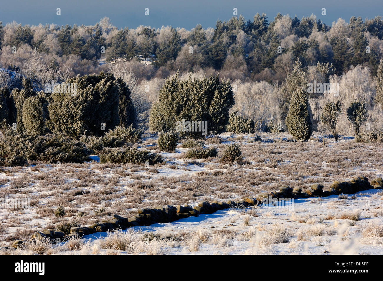 A landscape covered in frost Stock Photo - Alamy